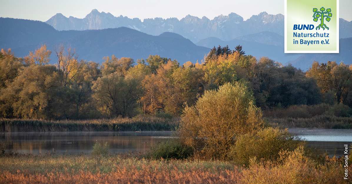 Chiemsee Ostufer - gerettete Landschaft | BUND Naturschutz