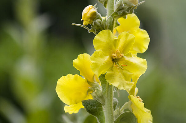 Karte - BUND Naturschutz in Bayern e.V.