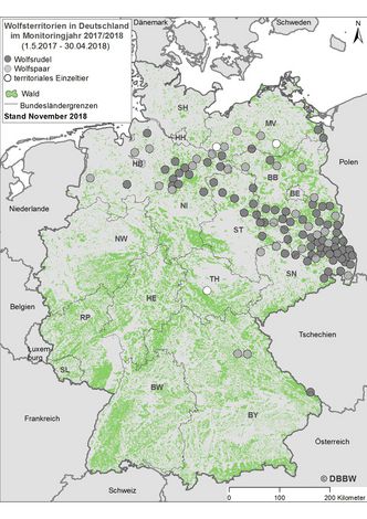 Der Wolf in Bayern – BUND Naturschutz