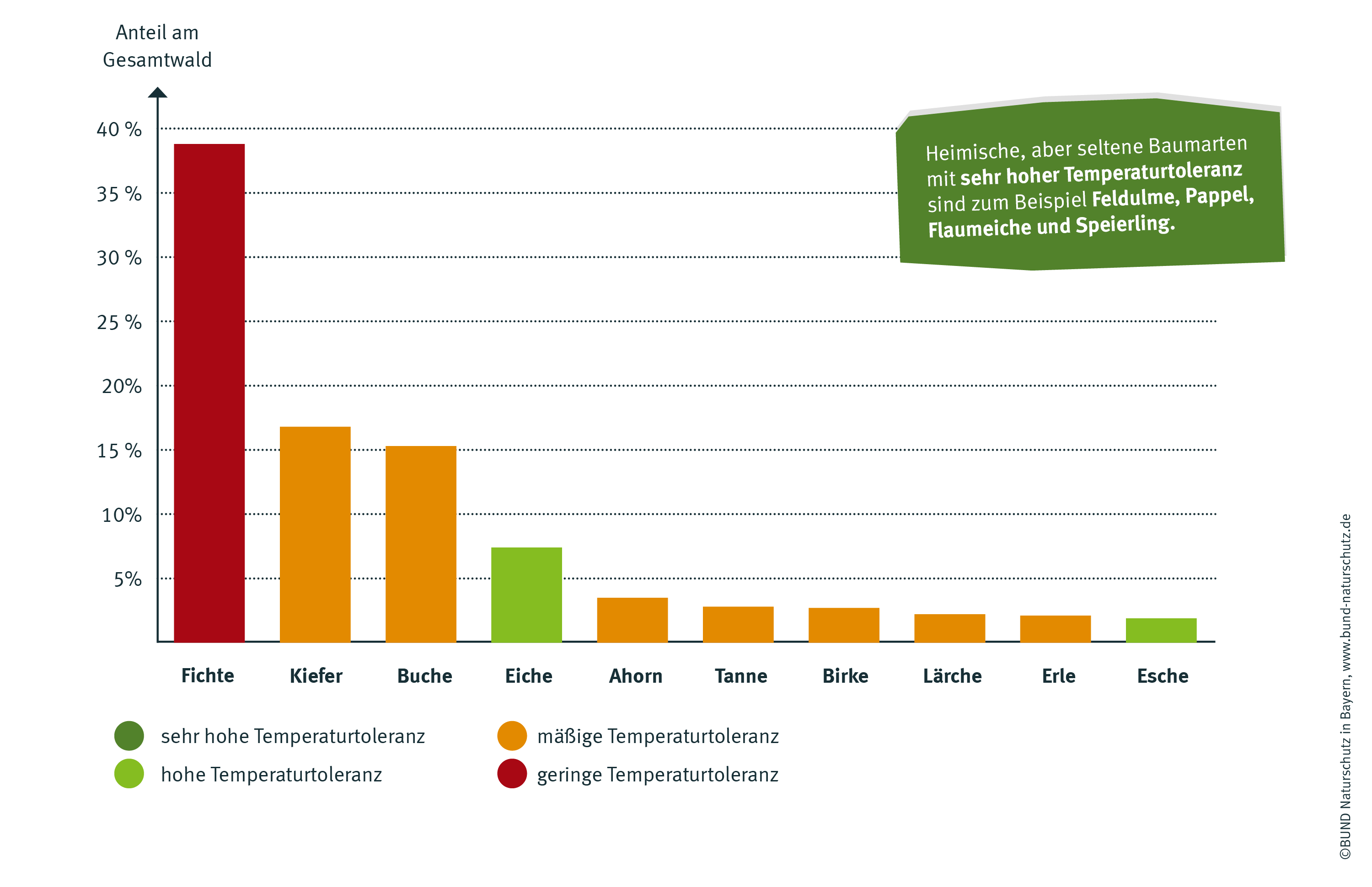 Waldsterben 2.0 – Wald im Klimawandel