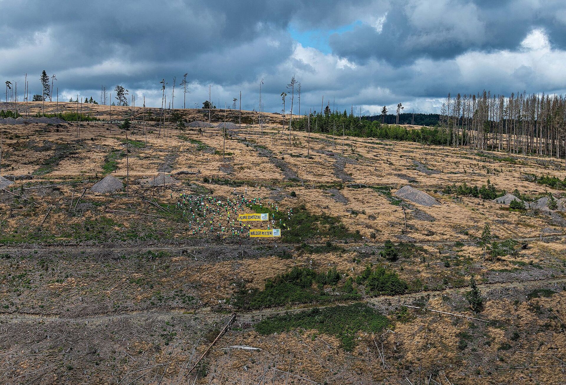 Apokalyptische Bilder im Frankenwald - BN fordert mehr Klimaschutz, um ...