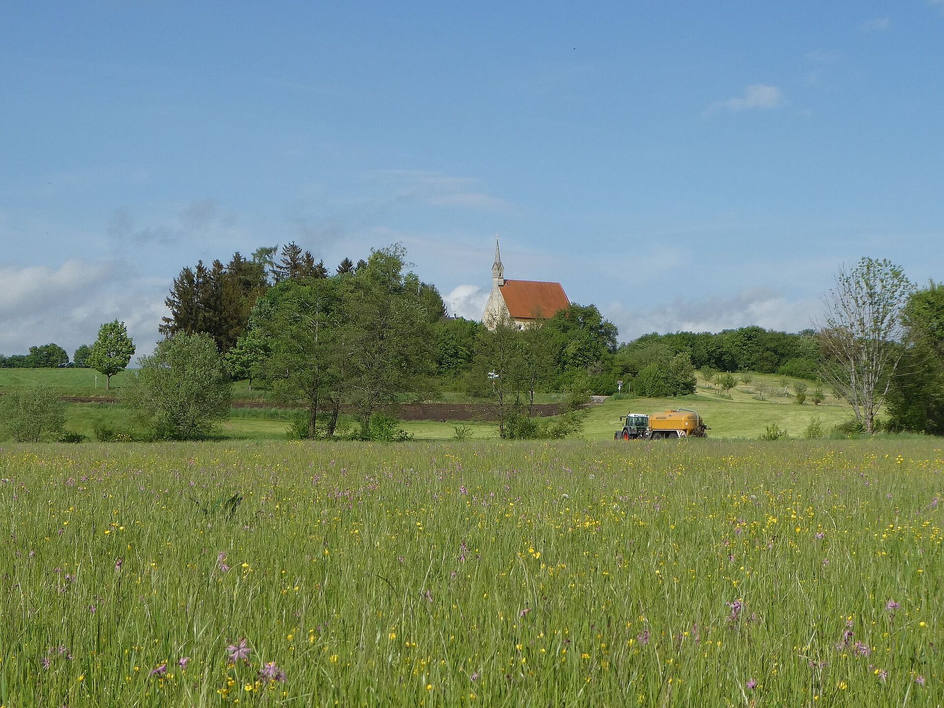 Rausch - BUND Naturschutz in Bayern e.V.