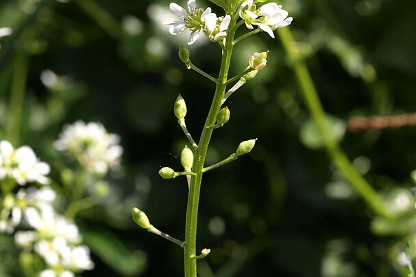 Quelltypen – Welche Arten von Quellen gibt es? | BUND Naturschutz (BN)