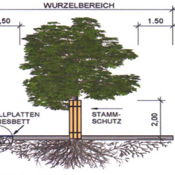 Baumschutz auf Baustellen - BUND Naturschutz in Bayern e.V.